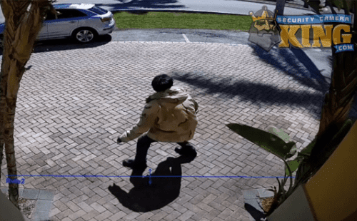 Active Deterrence Cameras - Security Camera King